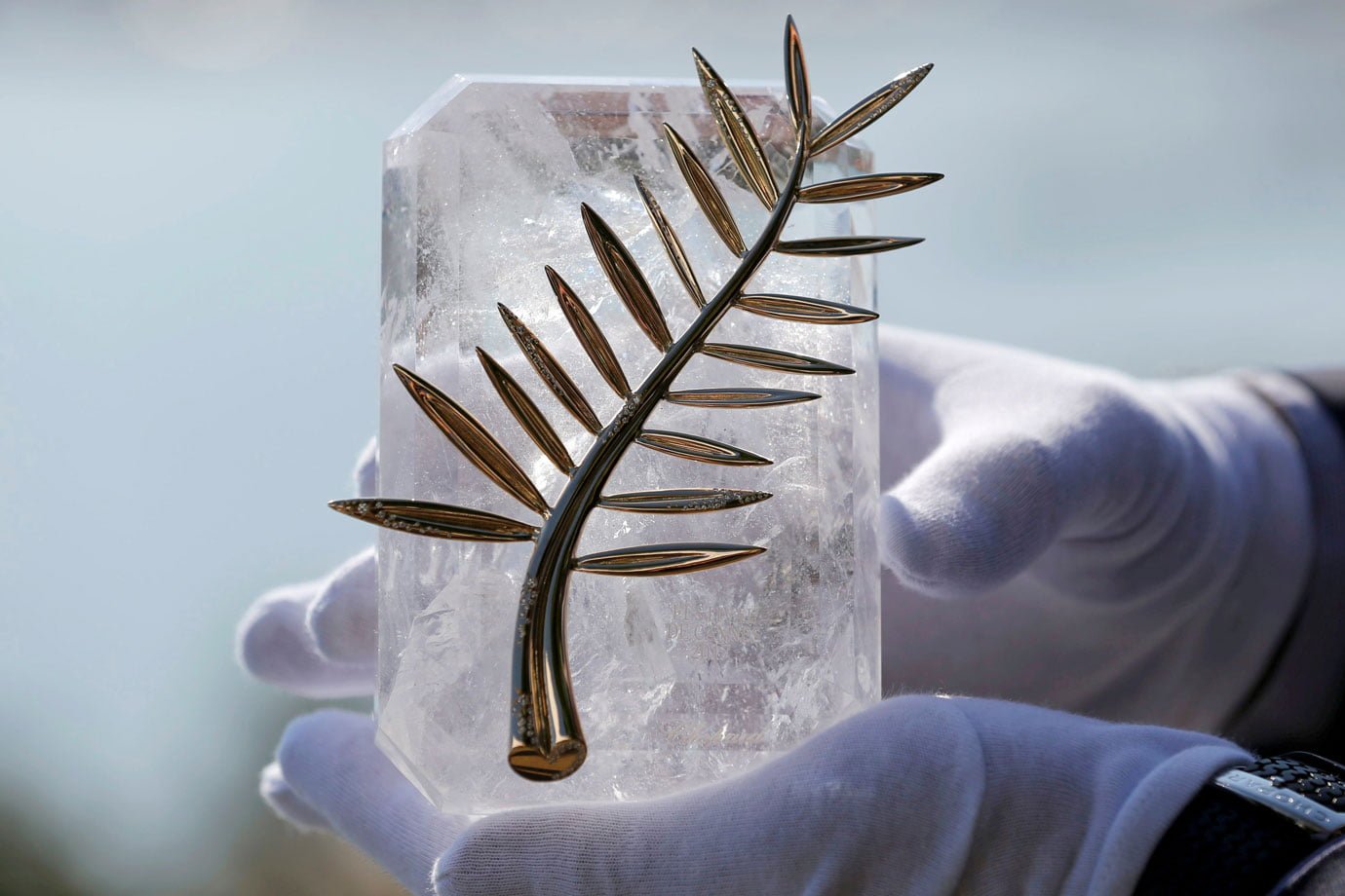 Festival de Cannes 2019 | Os Premiados | Vertentes do Cinema